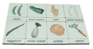 Nomenclature (Three Part) Cards - Montessori Material