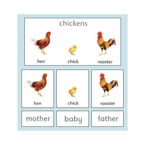 Farm Animal Families